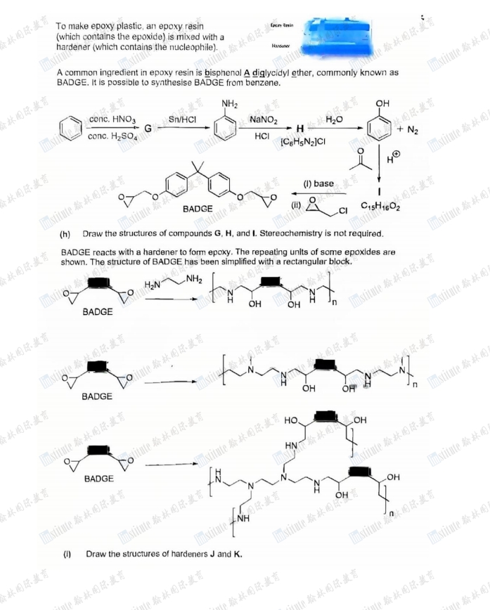 2025赛季UKCHO真题+答案+解析